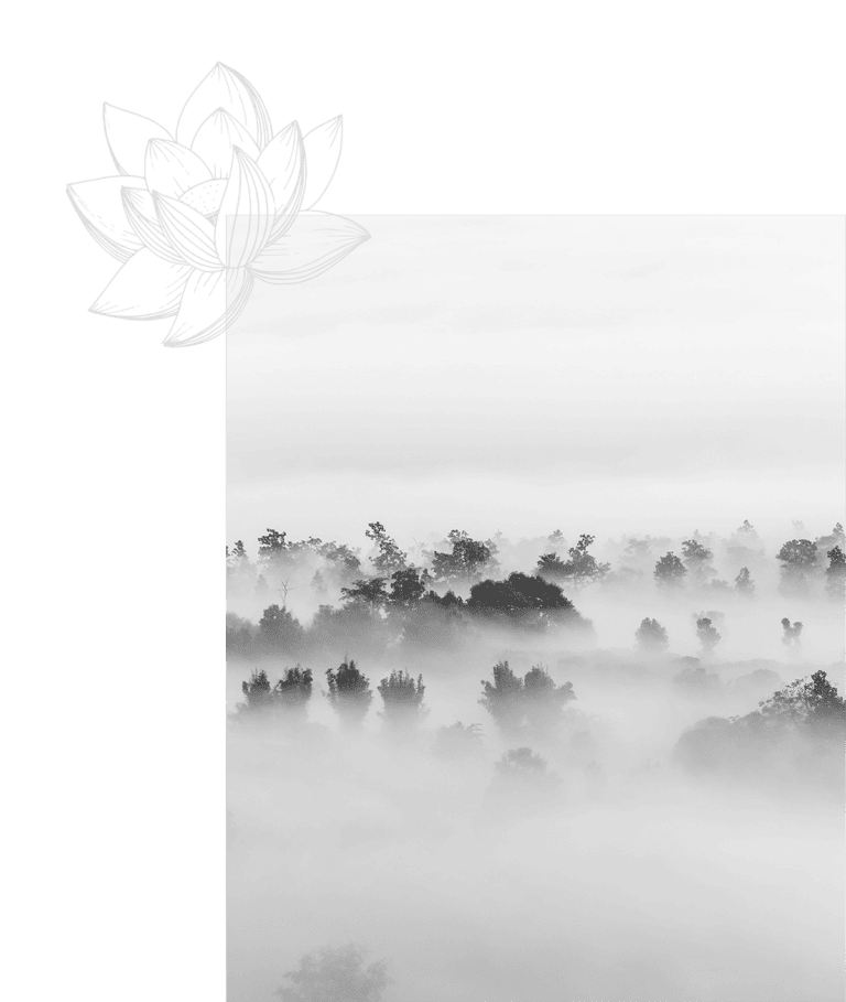 Home | Resilience Behavioral Health